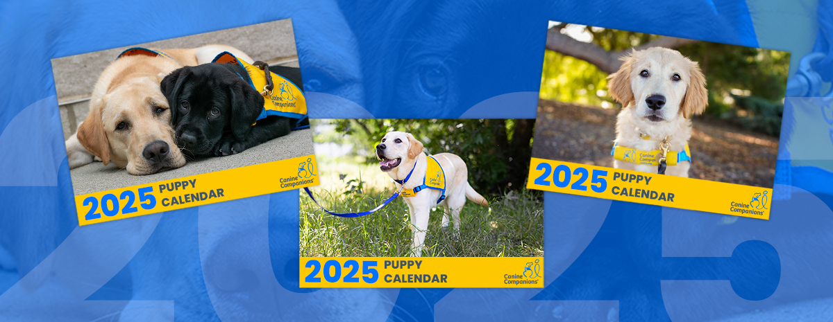Canine Companions 2025 Puppy Calendar